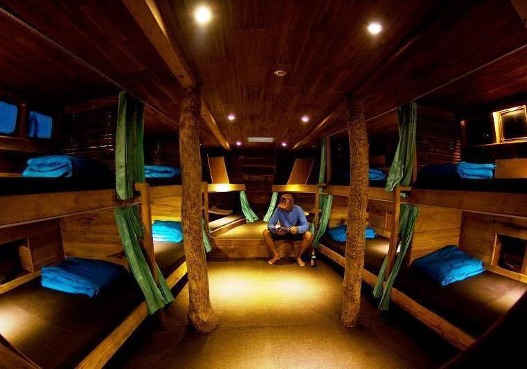 Experience the wild side of Asia - Expedition Sumatra