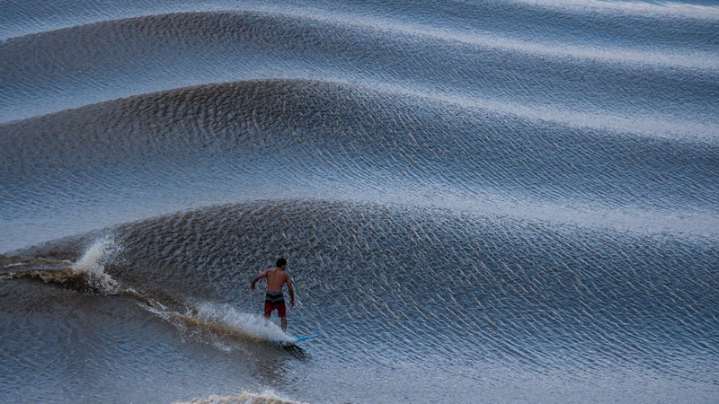Experience the wild side of Asia - Expedition Sumatra