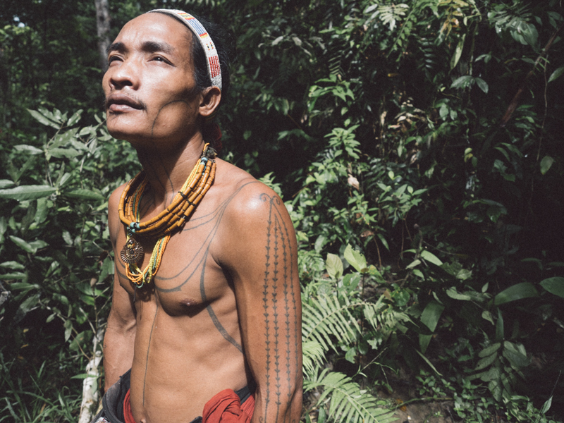 Experience the wild side of Asia - Expedition Sumatra
